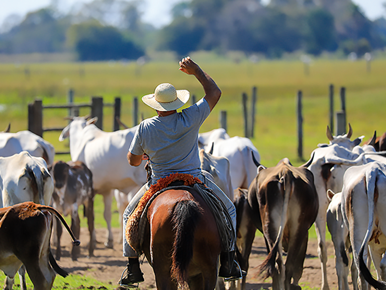 Quiénes Somos - Calbos Venezuela