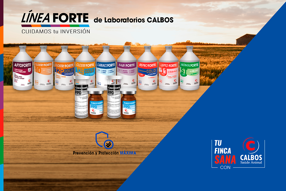 Productos - Calbos Venezuela